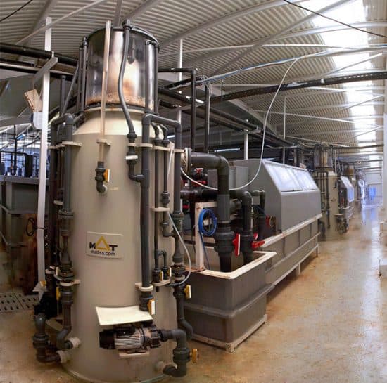 Recirculating Aquaculture Systems (RAS) - MAT LSS