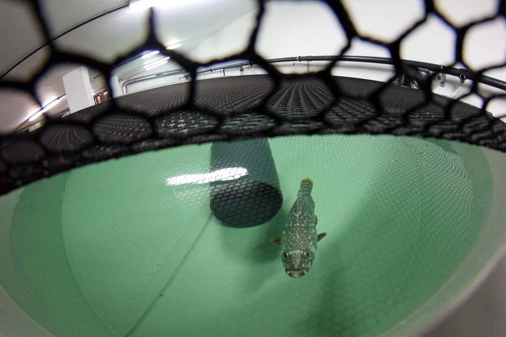 Loro Parque Quarantine Facilities - News | MAT LSS