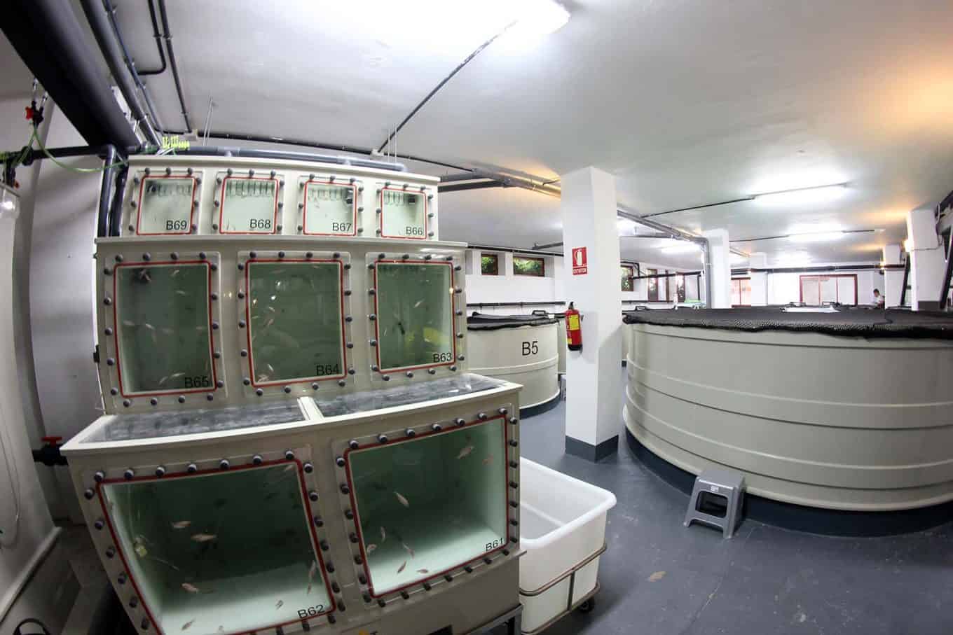 Loro Parque Quarantine Facilities - News | MAT LSS