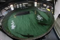 Aquarium Quarantine Systems & Fish Holding Tanks | MAT LSS