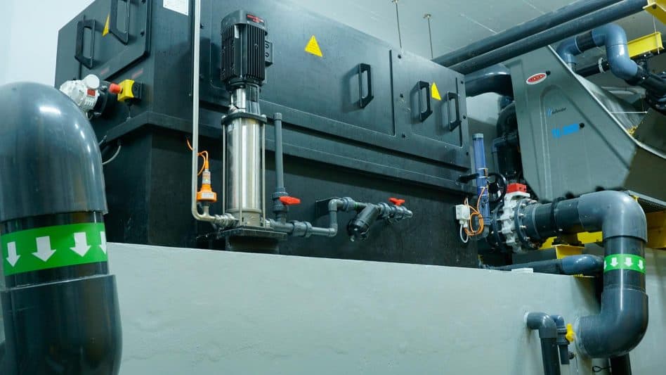 Loro Parque Zoo Pygmy Hippopotamus - News | MAT LSS