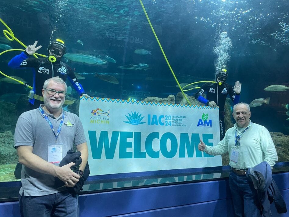 International Aquarium Congress - IAC 2024 | Zoo & Aquarium News | MAT LSS